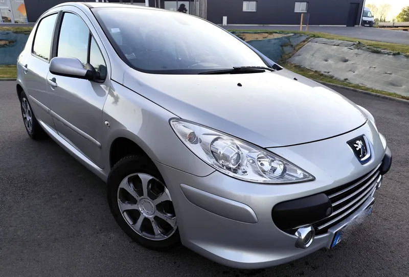 Peugeot 307 1.6 16v 110cv phase 2 convertit ethanol 0.75 le litre - L ...